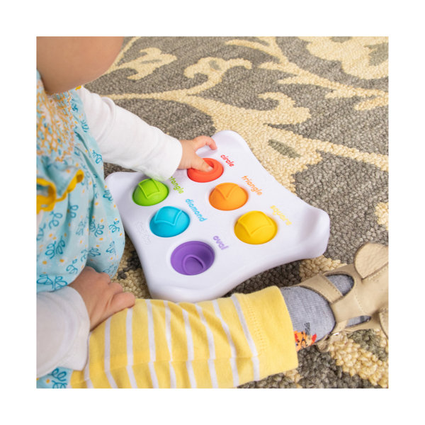 Fat Brain Toys Dimpl Duo & Reviews - Wayfair Canada